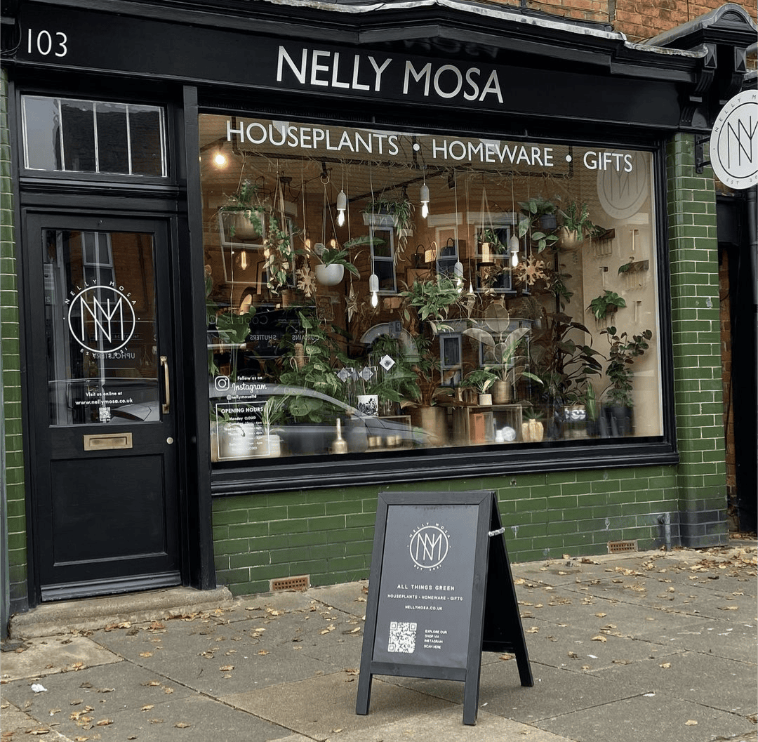 Nelly Mosa - The Bedford Guide 2025